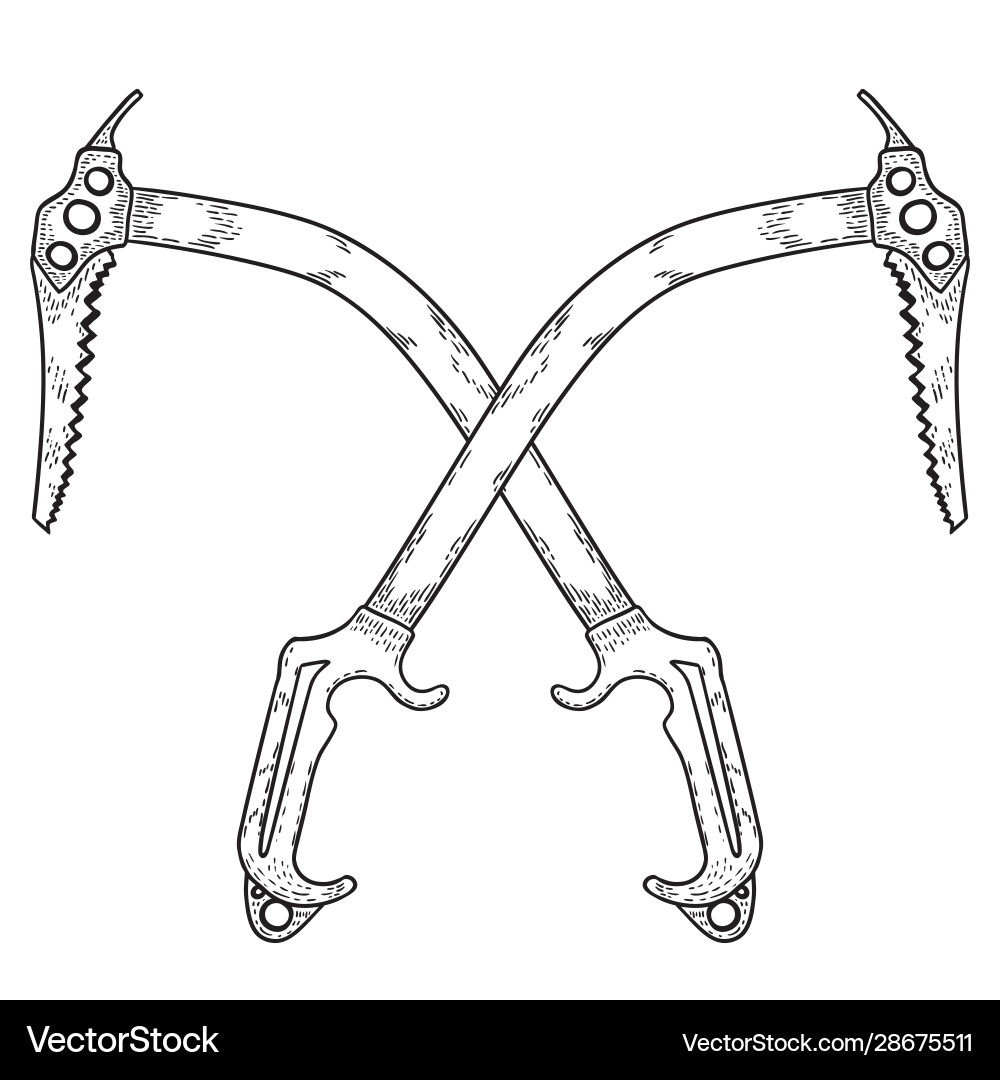 Hand drawn crossed ice axes logo or label Vector Image