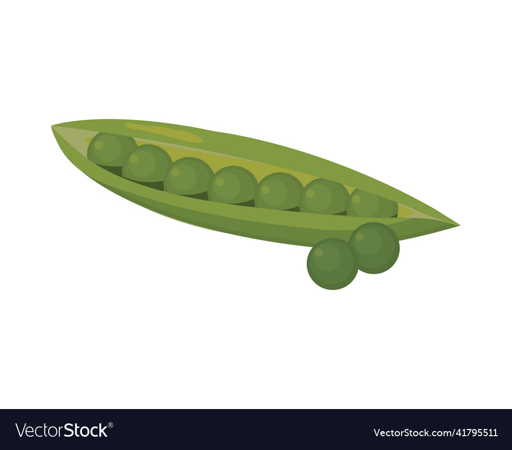 Peas vegetable icon Royalty Free Vector Image - VectorStock