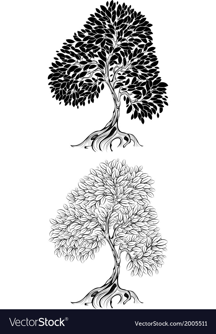 Two contour tree Royalty Free Vector Image - VectorStock