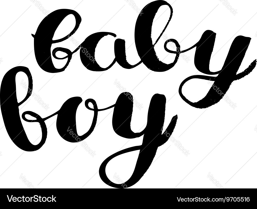 Baby boy brush hand lettering Royalty Free Vector Image