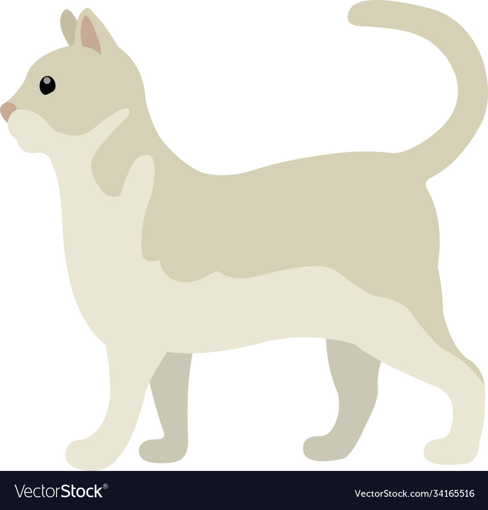 Cat Royalty Free Vector Image - VectorStock