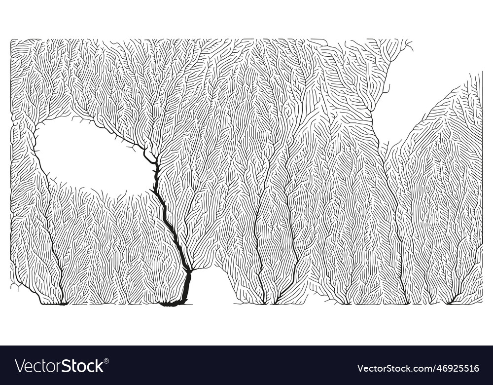 Growth pattern generative branching structure Vector Image