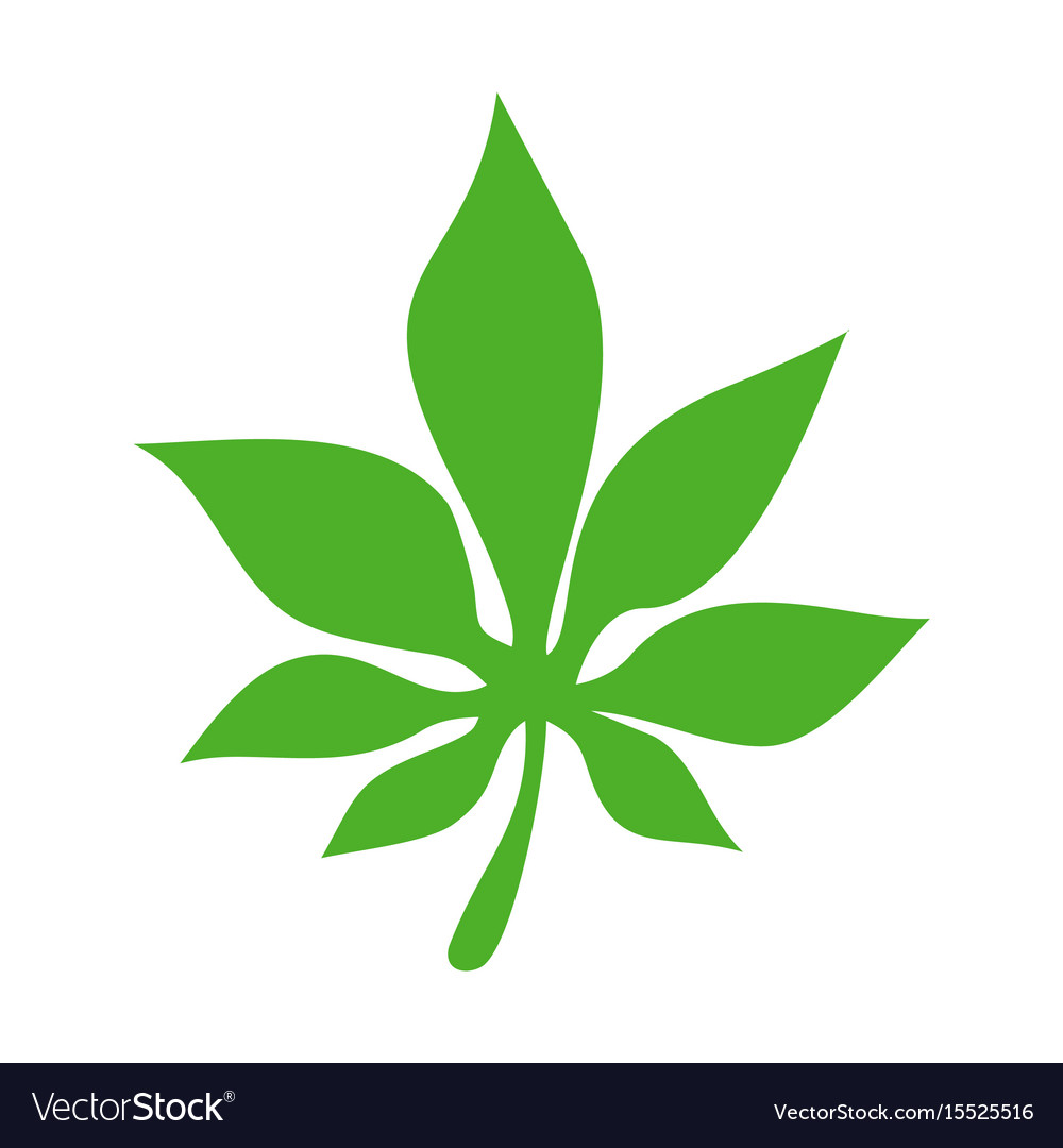 Leaf Royalty Free Vector Image - VectorStock