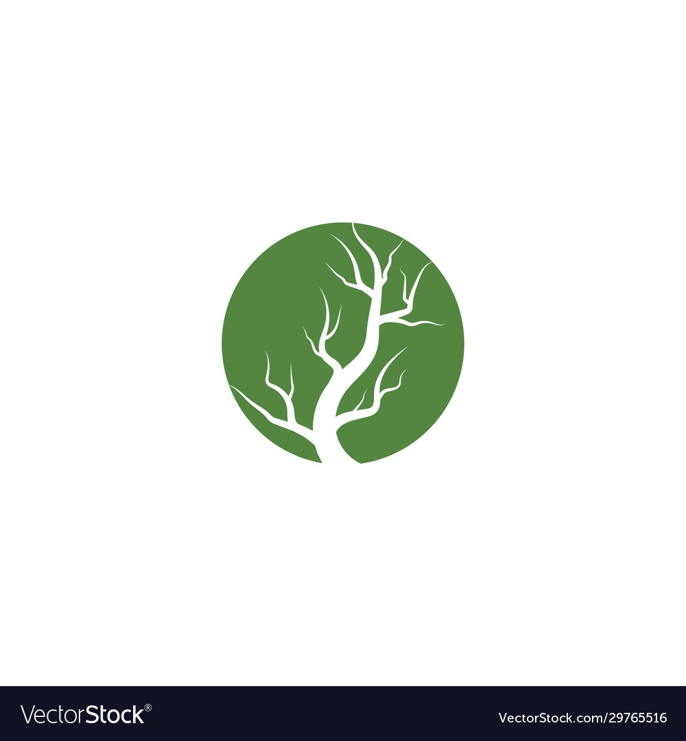 Tree logo template Royalty Free Vector Image - VectorStock