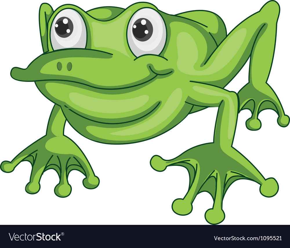 A green frog Royalty Free Vector Image - VectorStock
