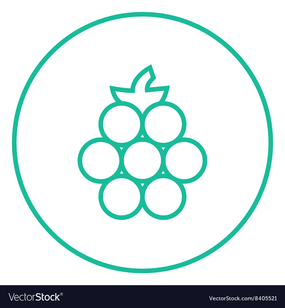 Raspberry line icon Royalty Free Vector Image - VectorStock