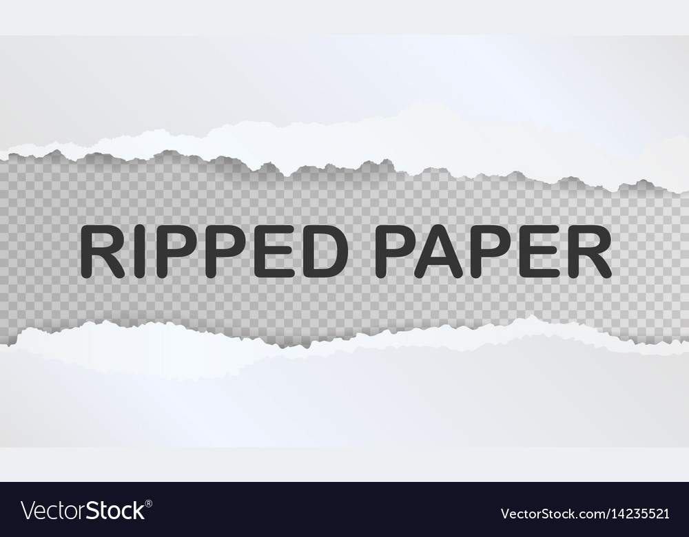 Realistic ripped paper Royalty Free Vector Image