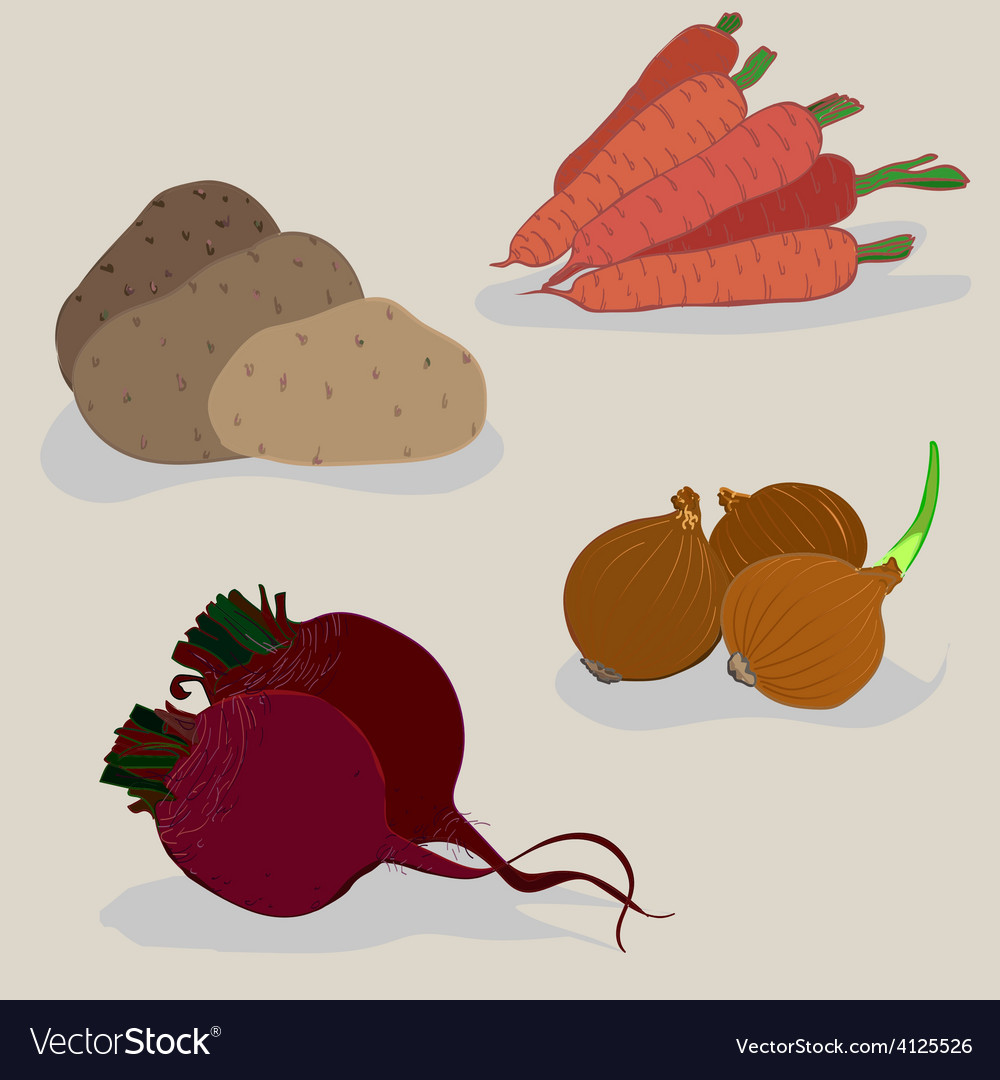 Four vegetable Royalty Free Vector Image - VectorStock
