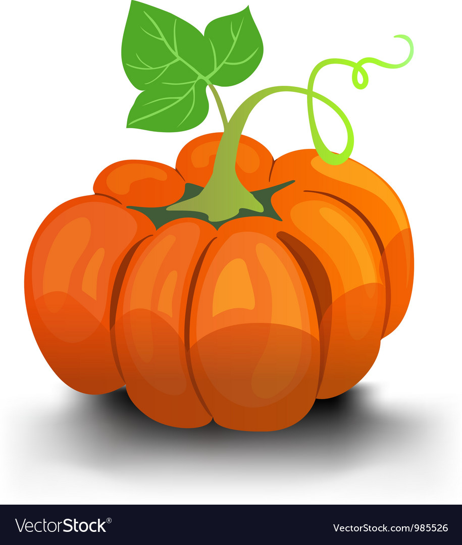 Pumpkin Royalty Free Vector Image - VectorStock