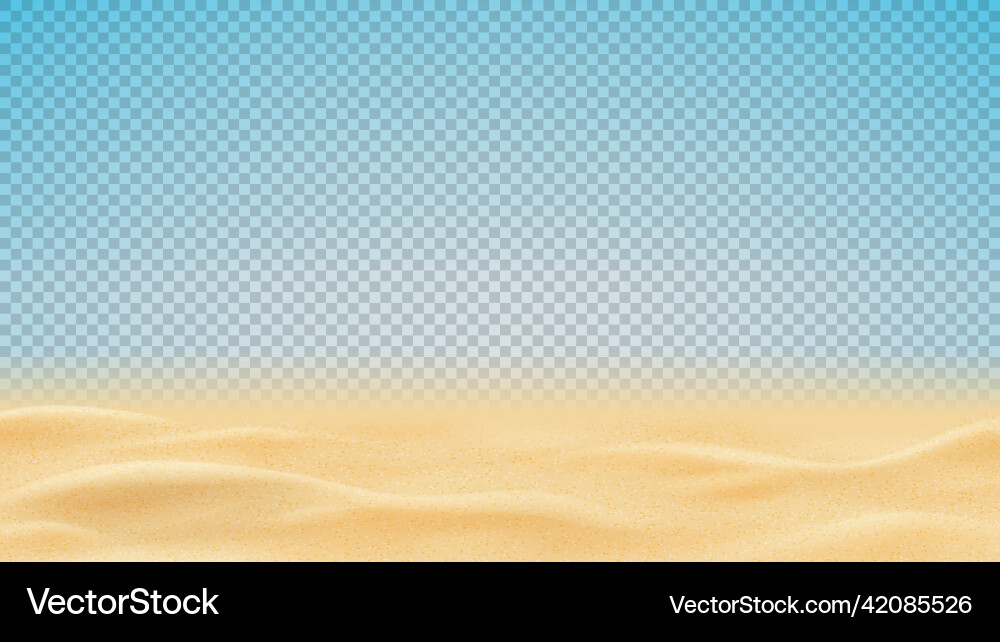 Realistic texture of beach or desert sand Vector Image