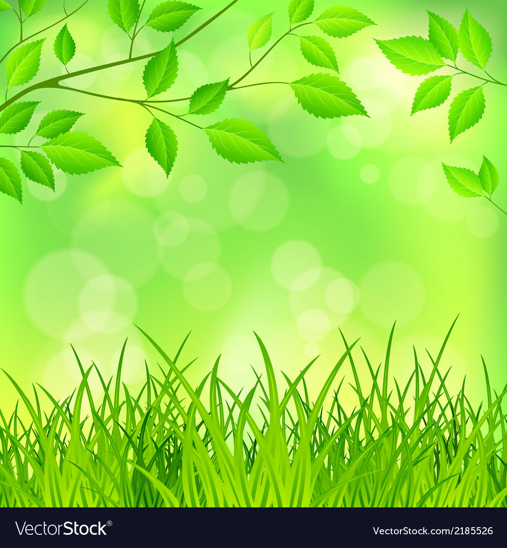 Spring background Royalty Free Vector Image - VectorStock