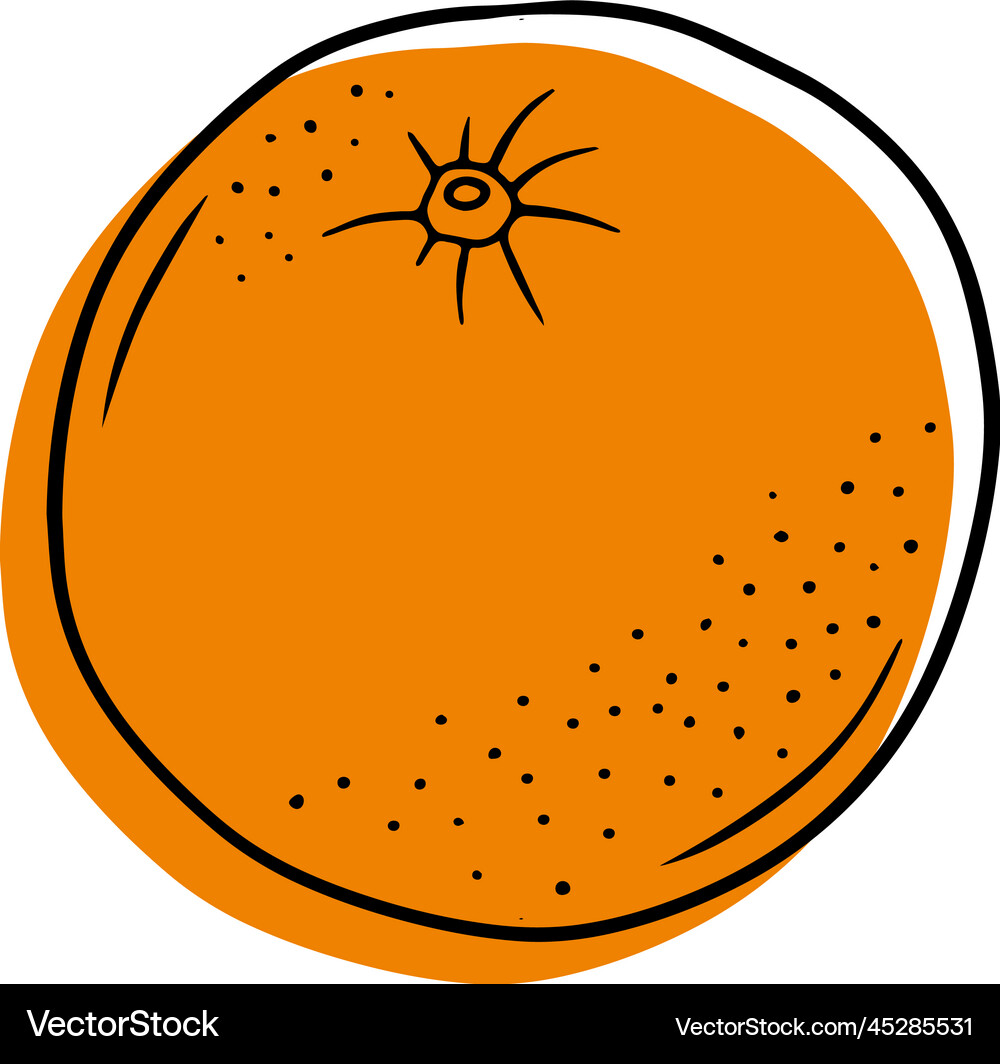 A ripe orange in contour style Royalty Free Vector Image
