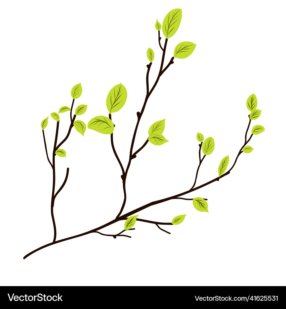 A twig with green leaves just blooming Royalty Free Vector