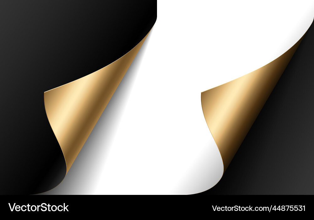 Black and white papers with gold edge Royalty Free Vector
