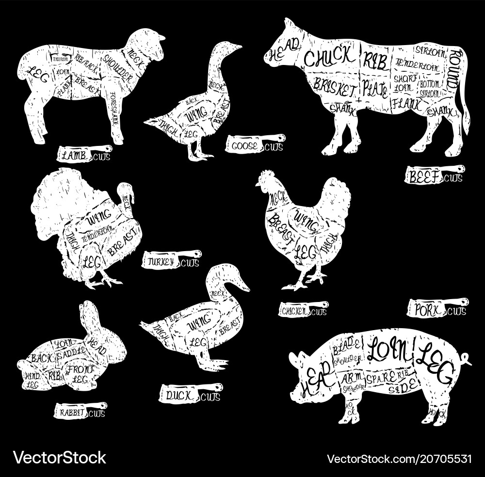Meat symbols vintage cut scheme Royalty Free Vector Image