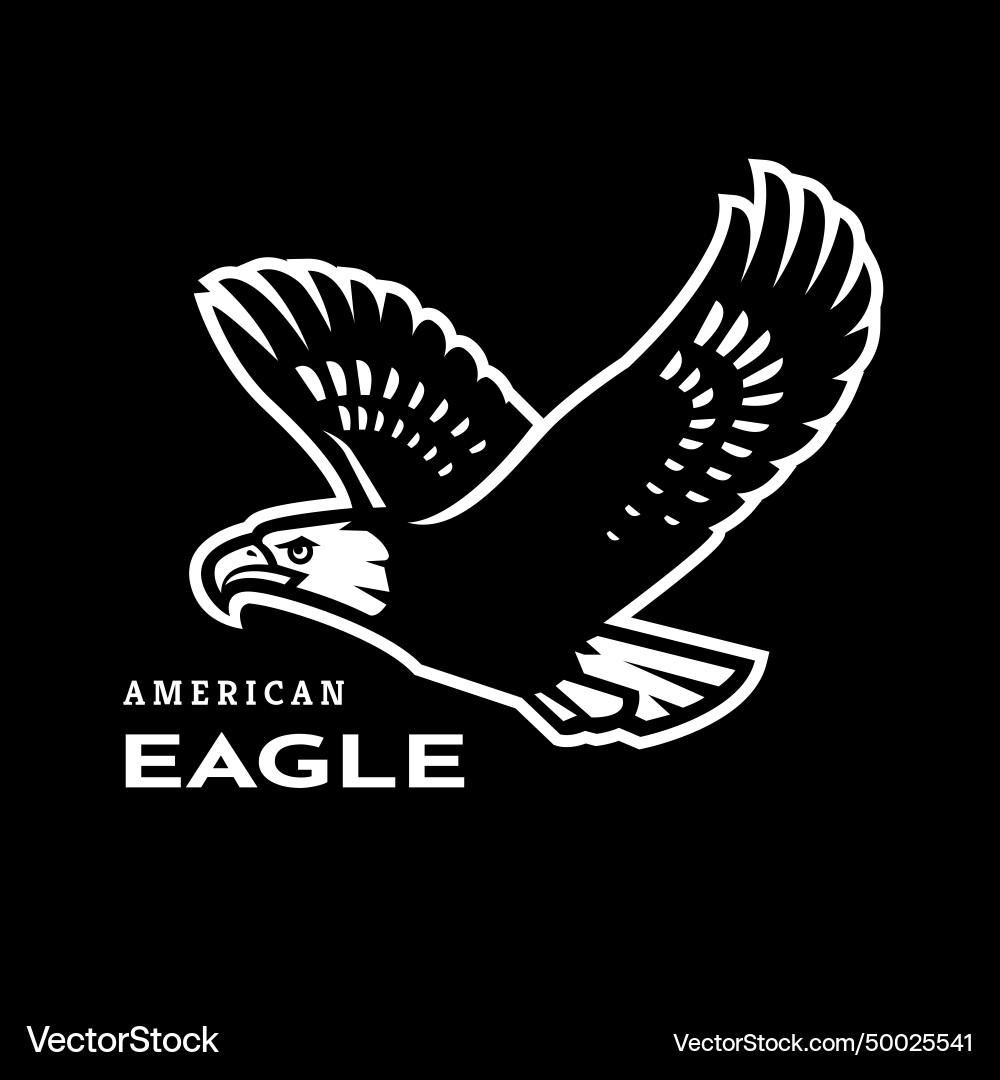 American eagle in flight on a dark background Vector Image