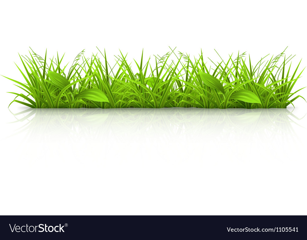 Grass Royalty Free Vector Image - VectorStock