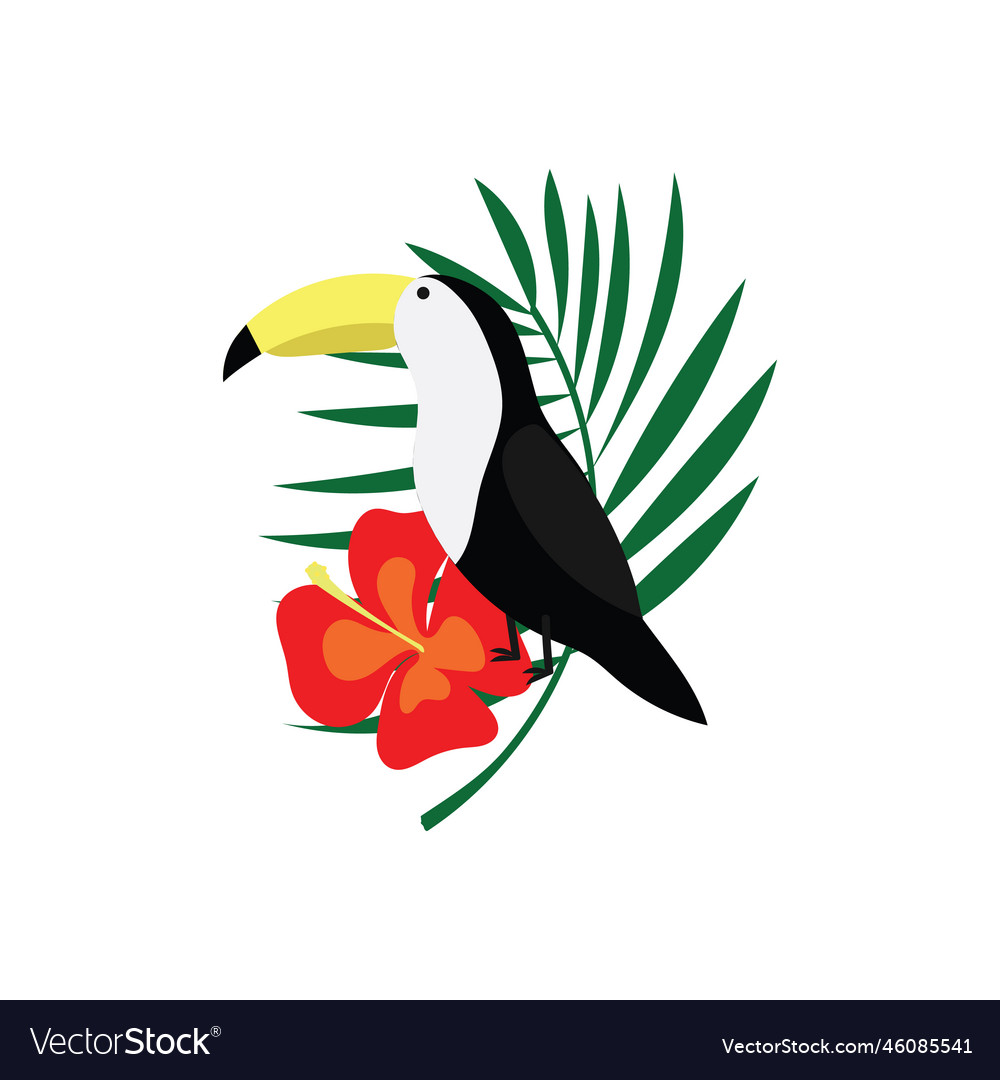 Toucan Royalty Free Vector Image - VectorStock