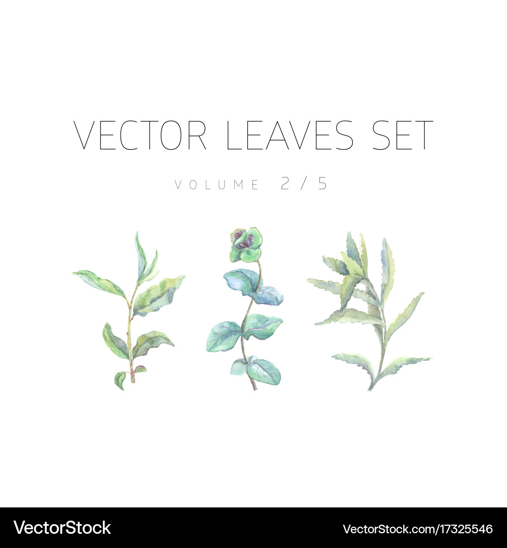 Bright watercolor set of leaf Royalty Free Vector Image