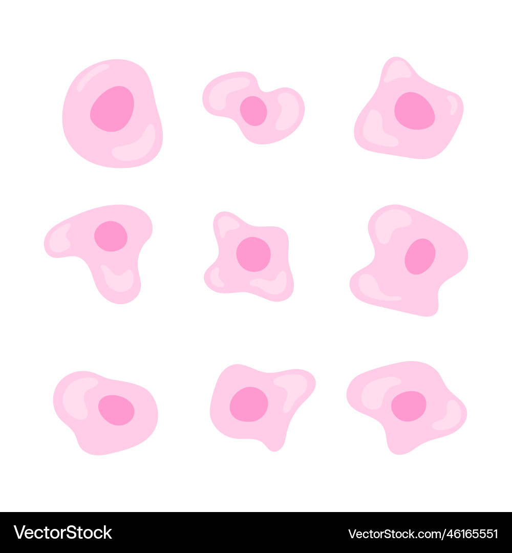 Human stem cell icon set for medical design Vector Image