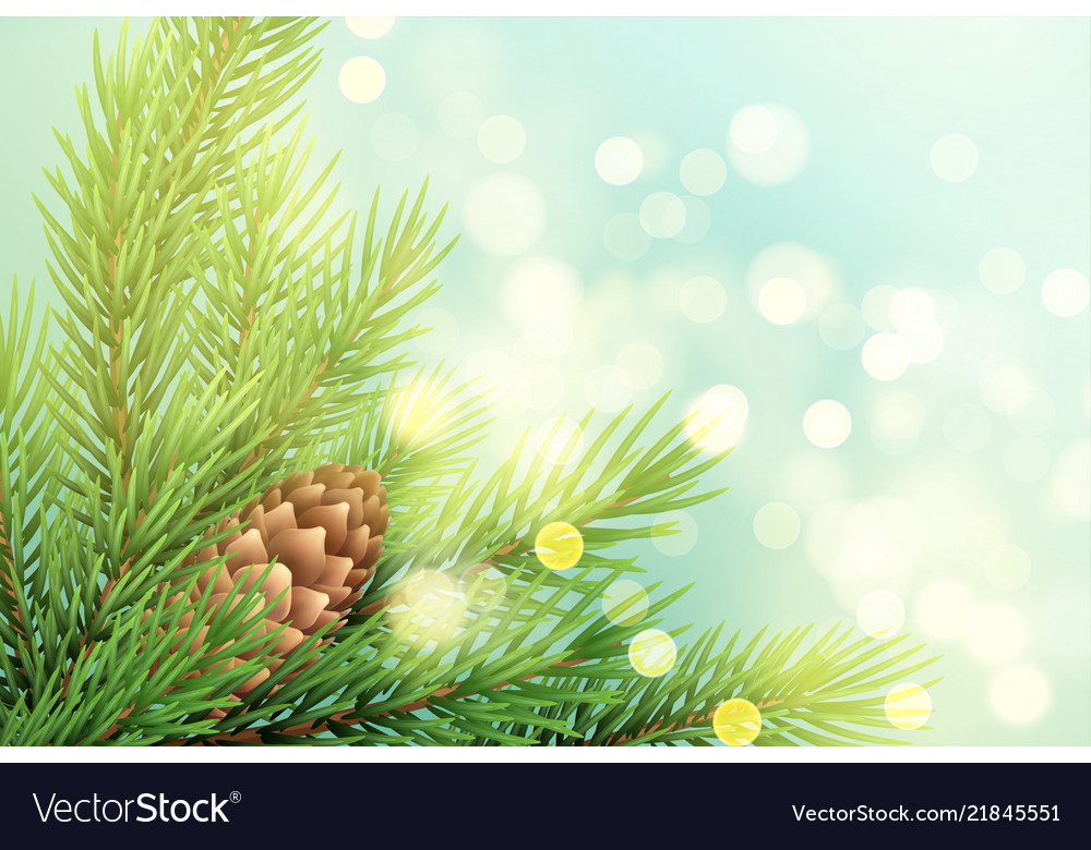Realistic spruce branch with pinecone Royalty Free Vector