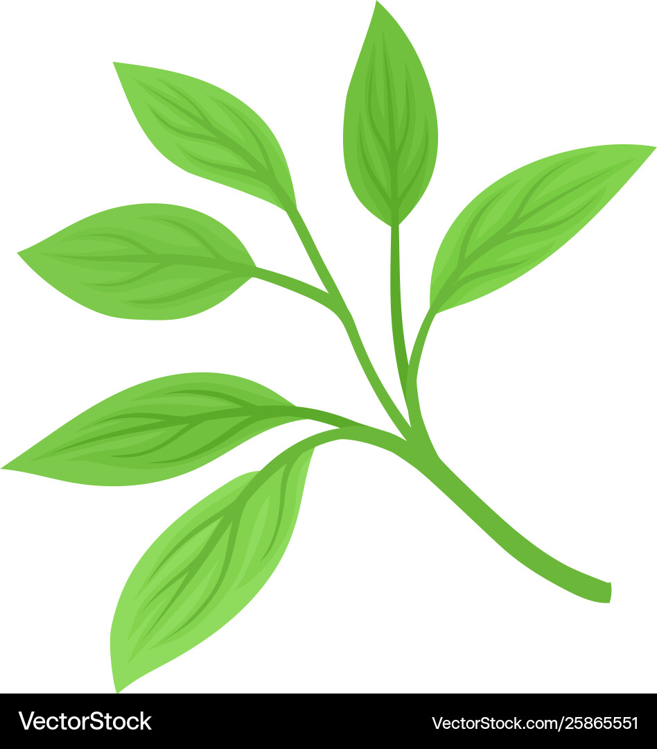 Six leaves on stem on Royalty Free Vector Image