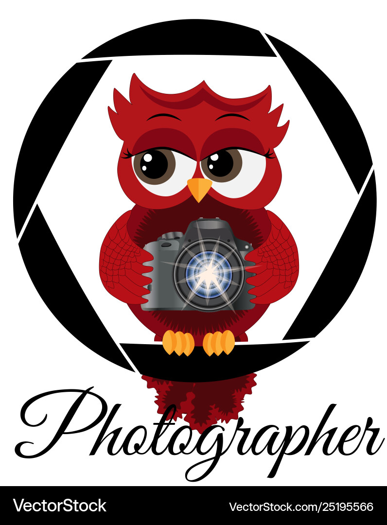A beautiful cartoon red owl with camera sits Vector Image
