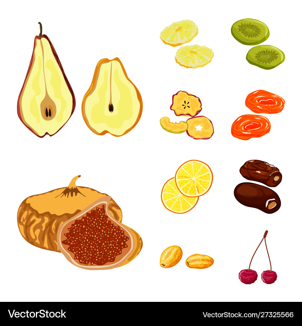 Design fruit and dried sign collection Royalty Free Vector