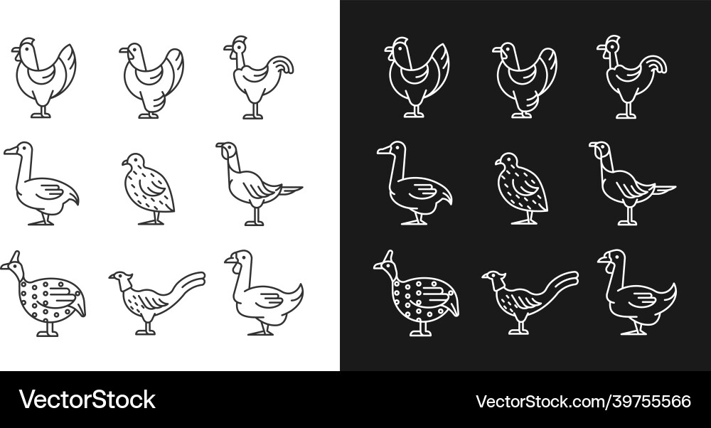 Domesticated birds linear icons set for dark Vector Image