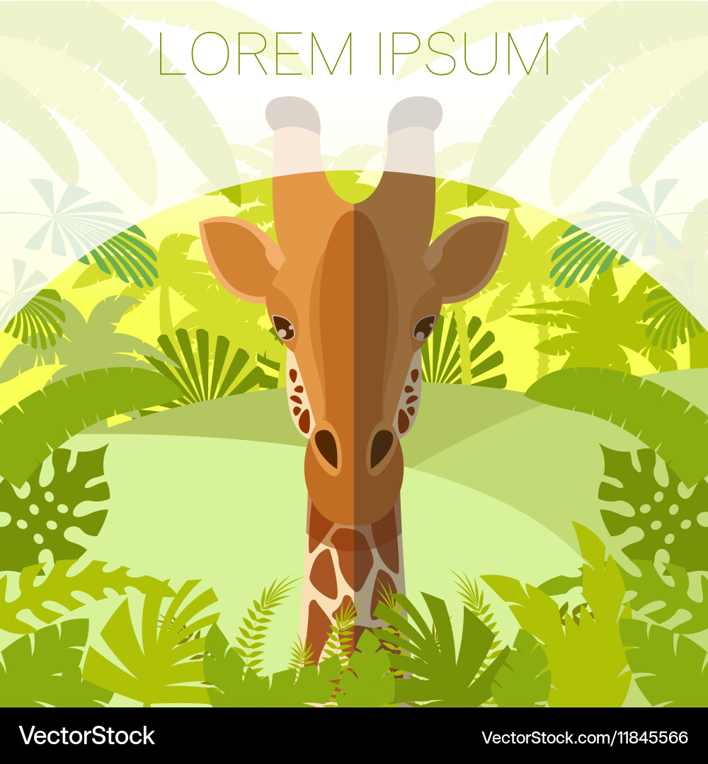 Giraffe on the jungle background Royalty Free Vector Image