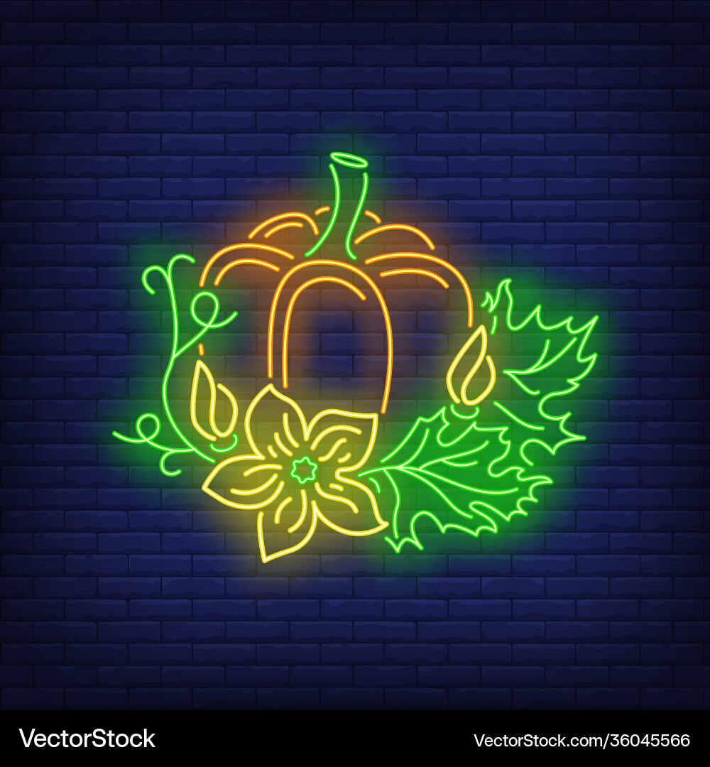 Pumpkin with leaves neon sign Royalty Free Vector Image