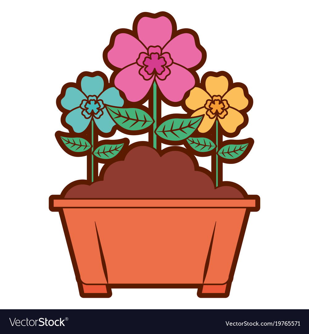 Flowers in pot gardening spring decoration Vector Image