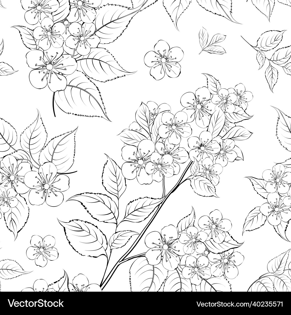Sakura seamless pattern on white background Vector Image