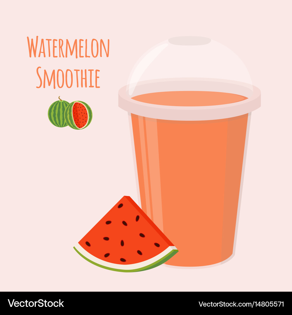 Watermelon detox drink cartoon flat style Vector Image
