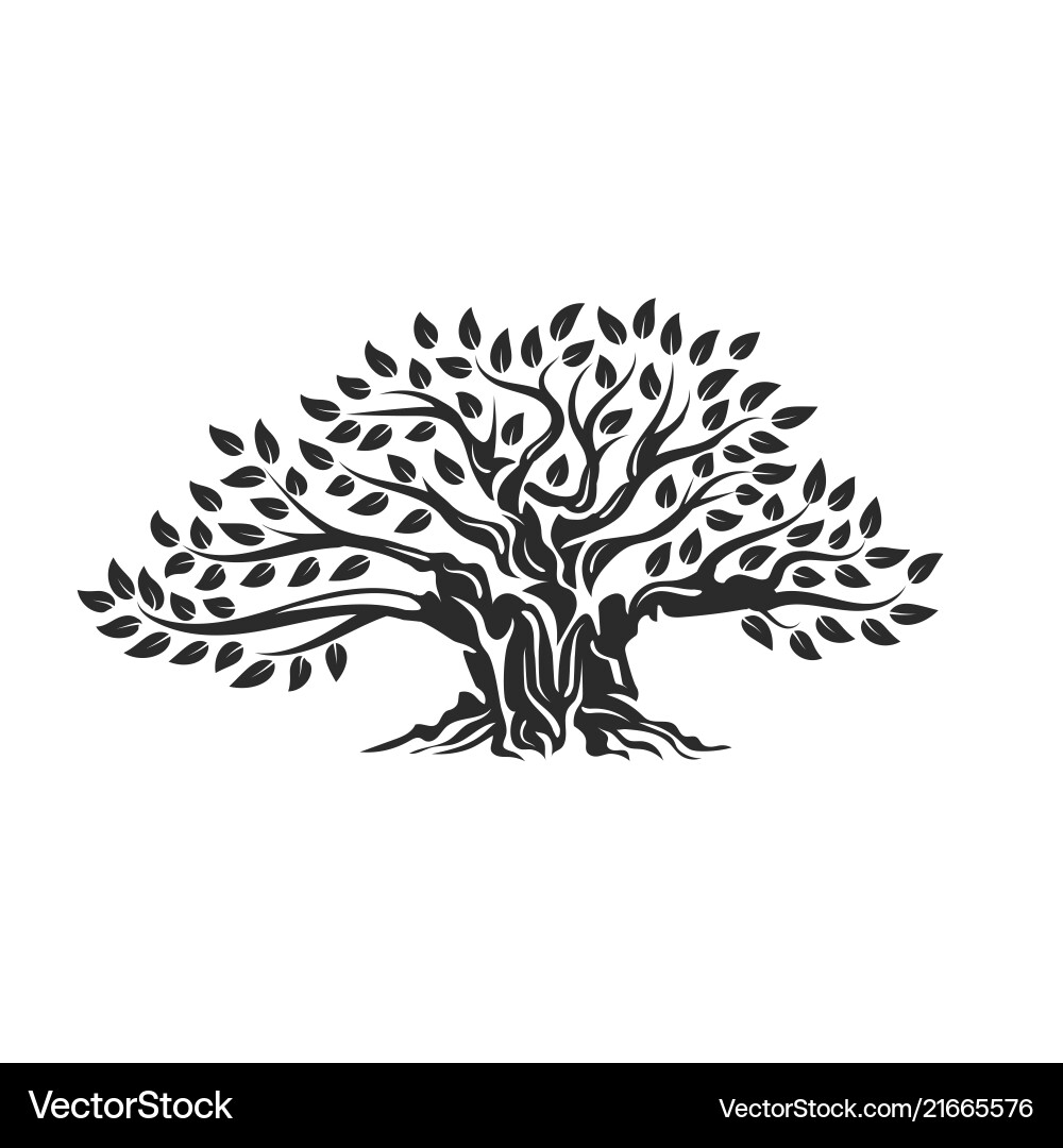 Organic natural and healthy olive tree silhouette Vector Image