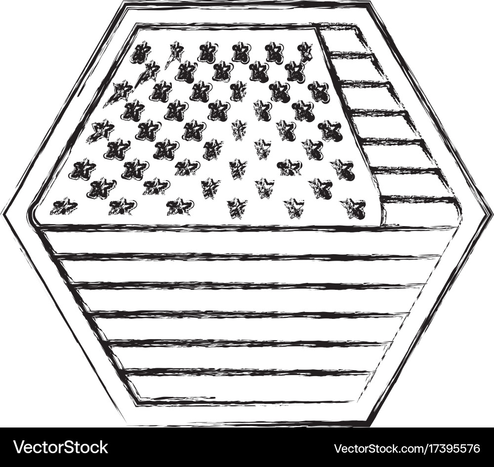 Shield in hexagon shape with flag united states Vector Image