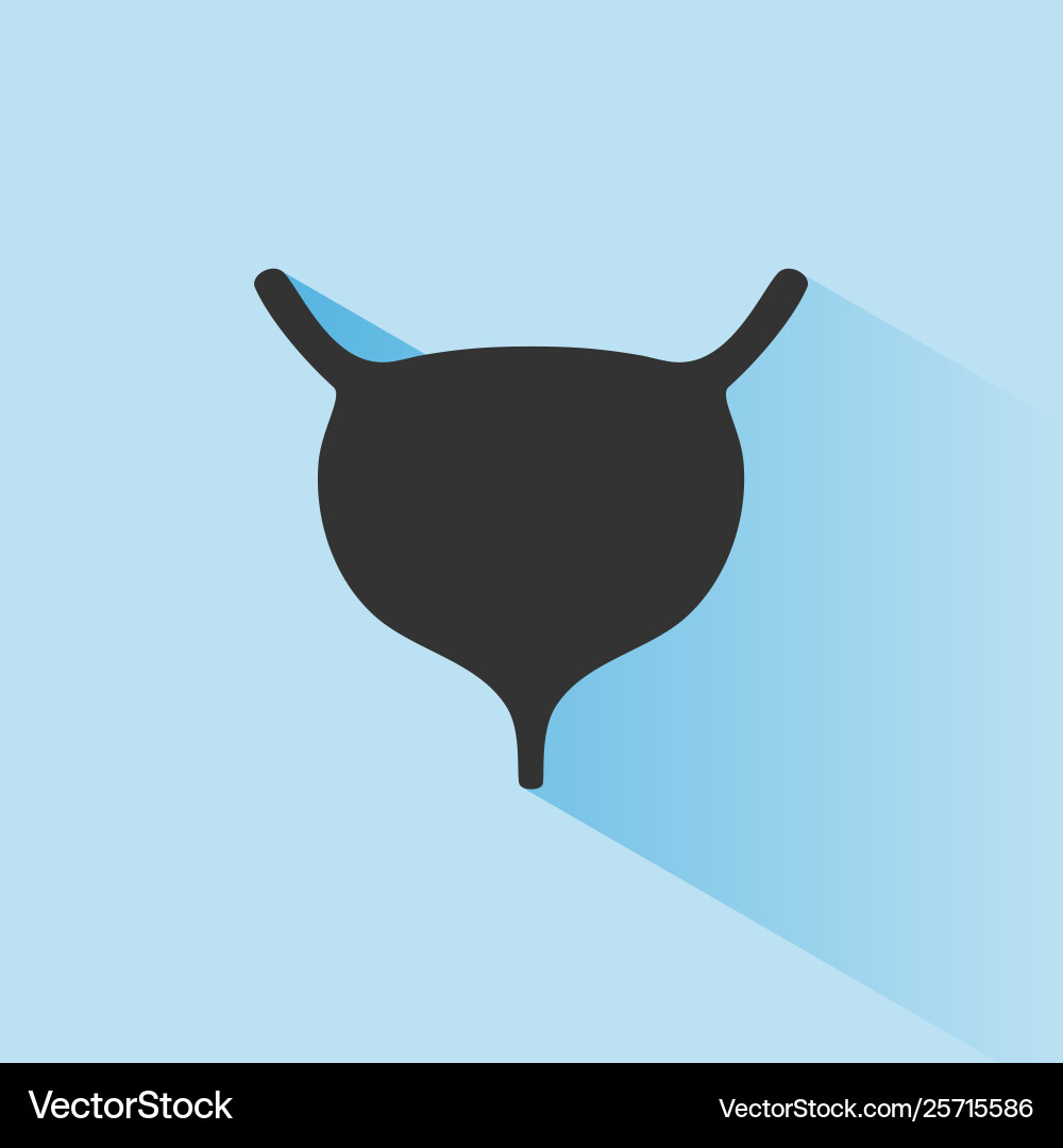 Human organ bladder icon with shade on blue Vector Image