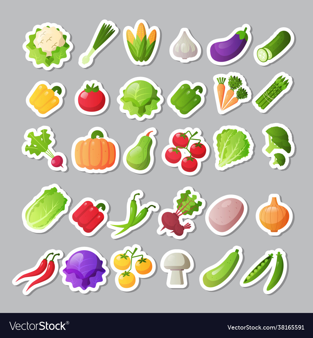 Set fresh vegetables icons different stickers Vector Image