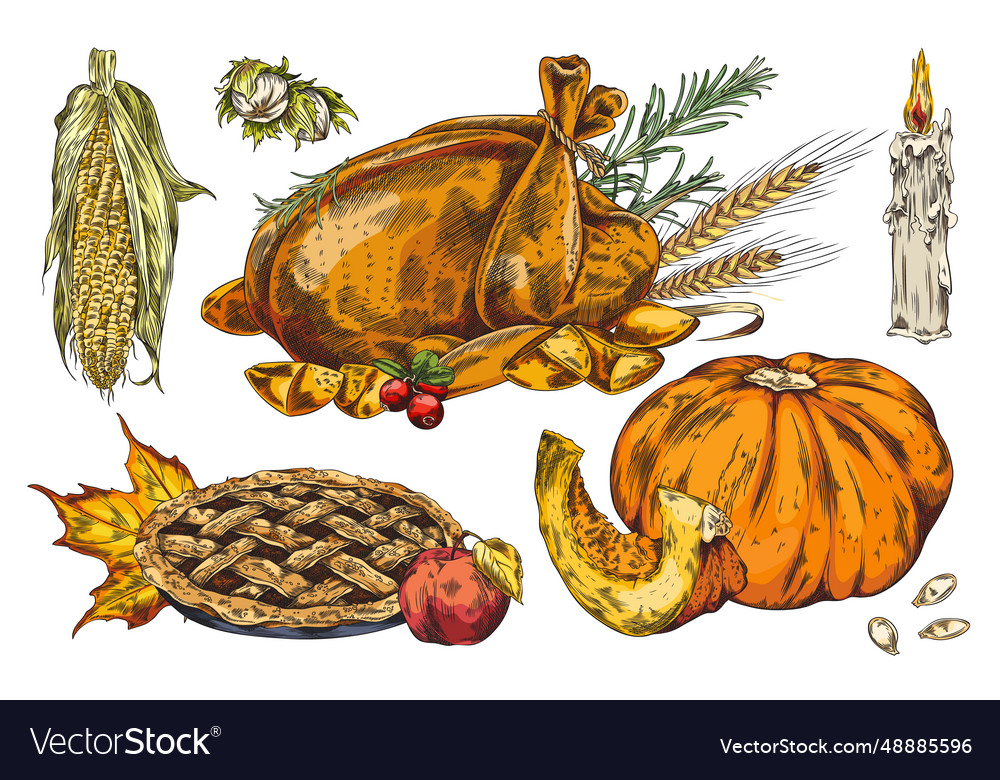 Thanksgiving holiday symbols hand drawn collection