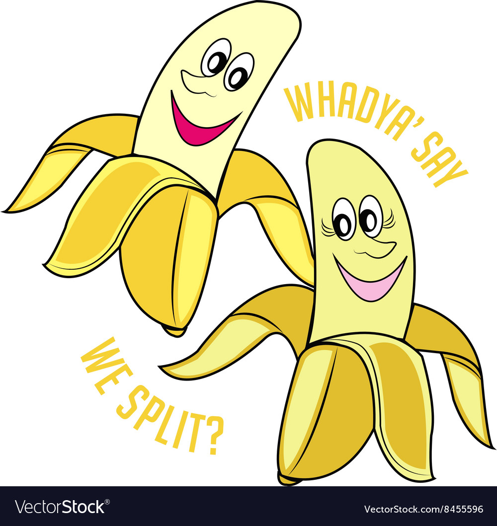 We split Royalty Free Vector Image - VectorStock