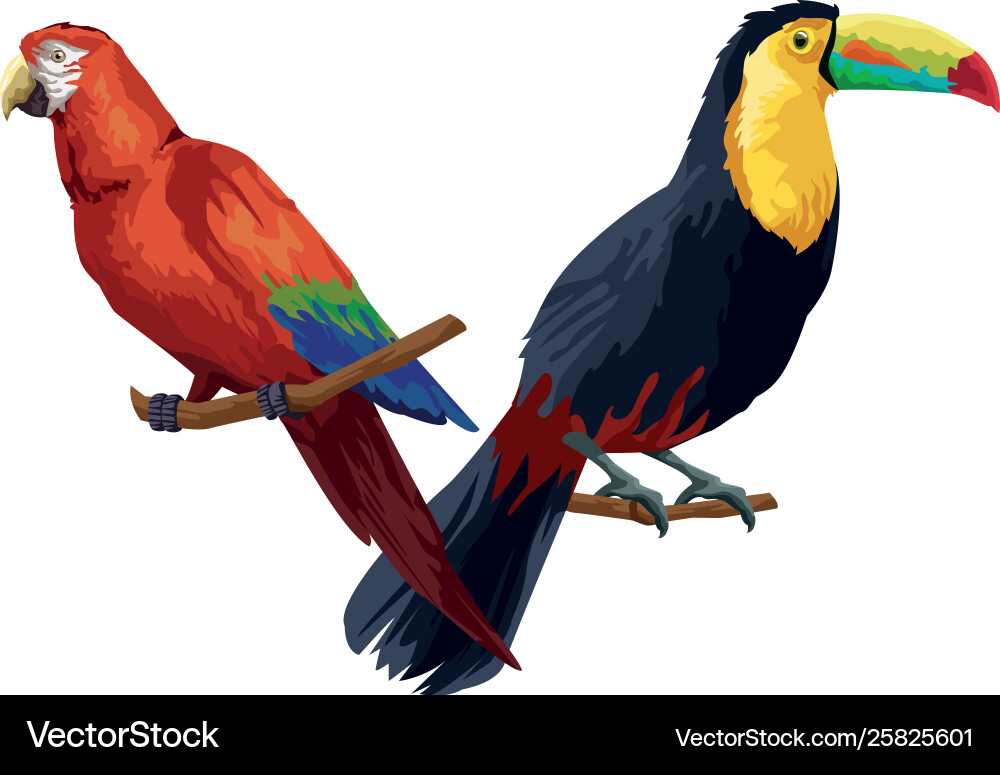 Beautiful wild birds icon cartoon Royalty Free Vector Image