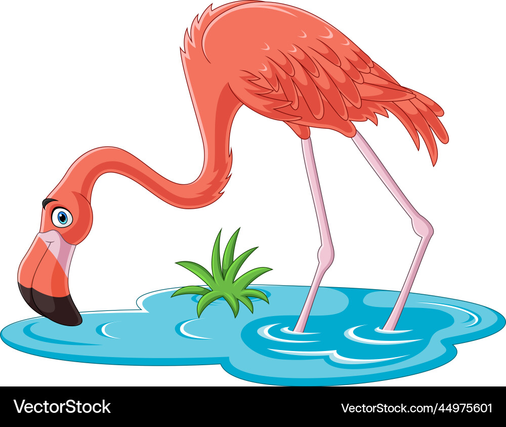 Cartoon flamingo on white background Royalty Free Vector