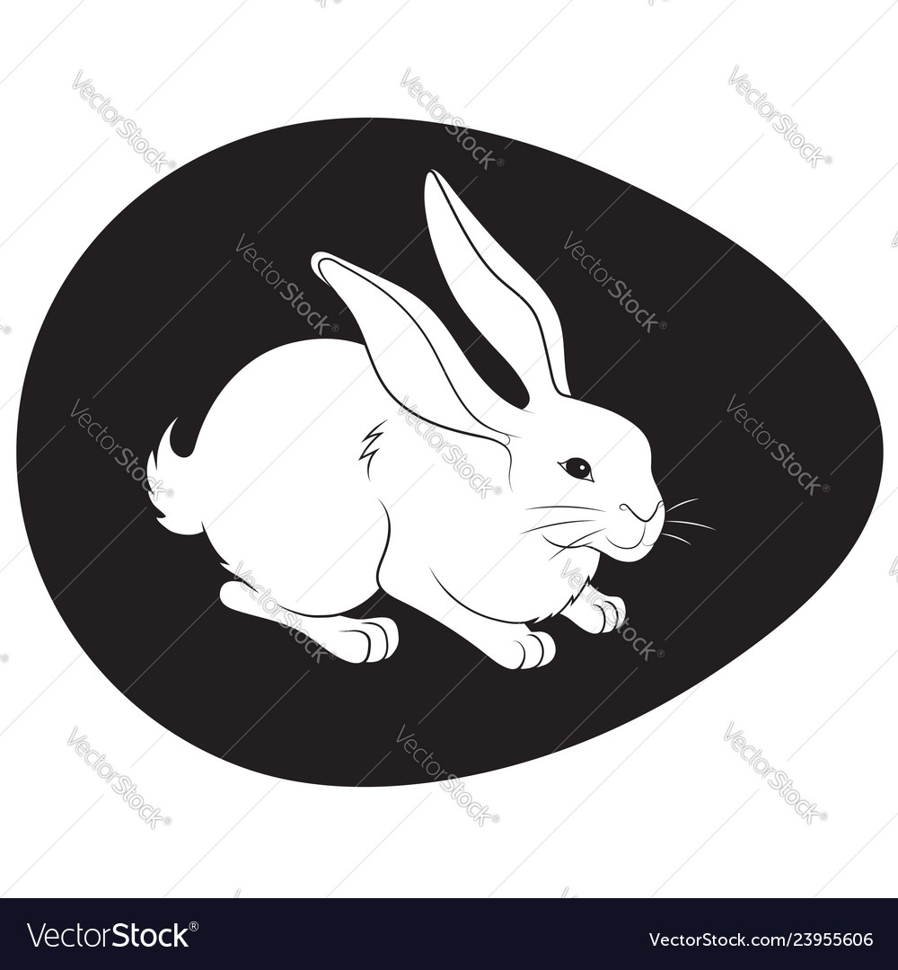 An easter bunny Royalty Free Vector Image - VectorStock