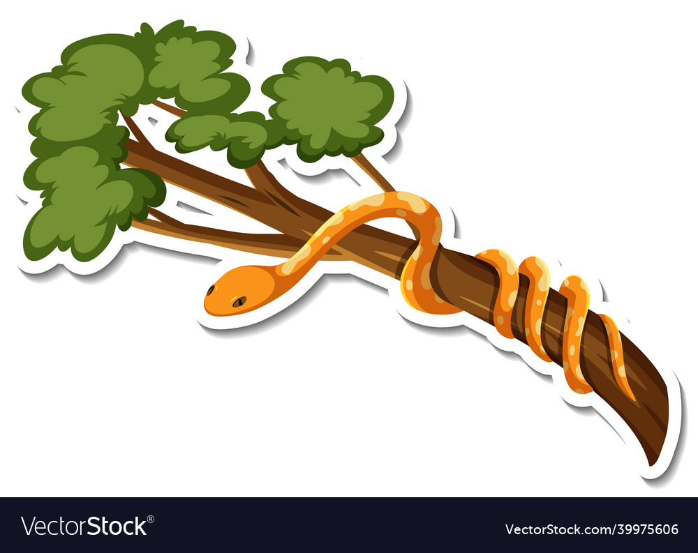 Snake on the tree white background Royalty Free Vector Image
