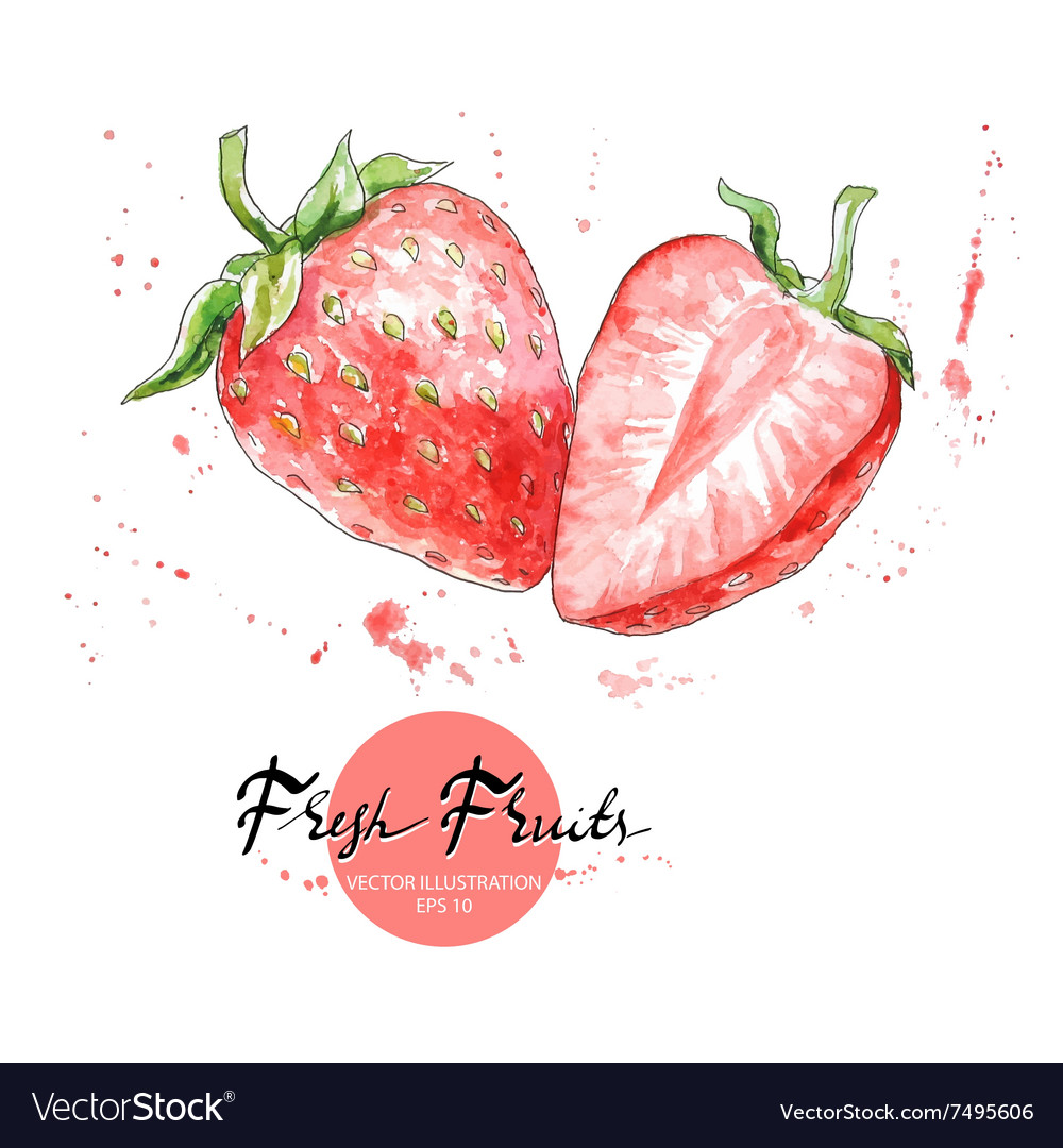 Strawberry Royalty Free Vector Image - VectorStock