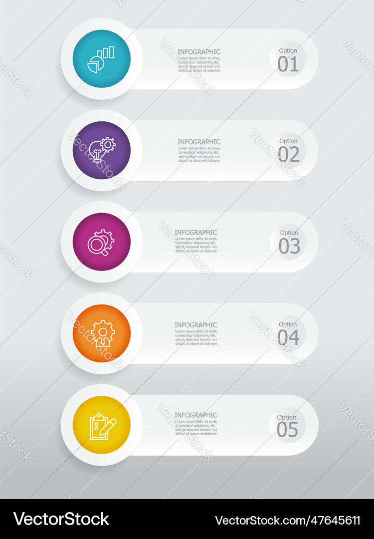 Vertical round circle steps timeline infographic Vector Image