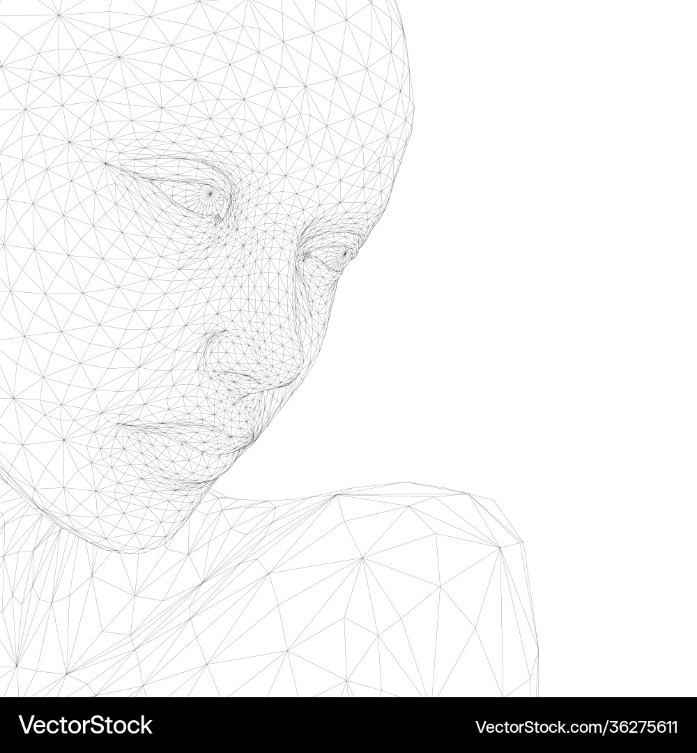 Wireframe girl face from black lines isolated Vector Image