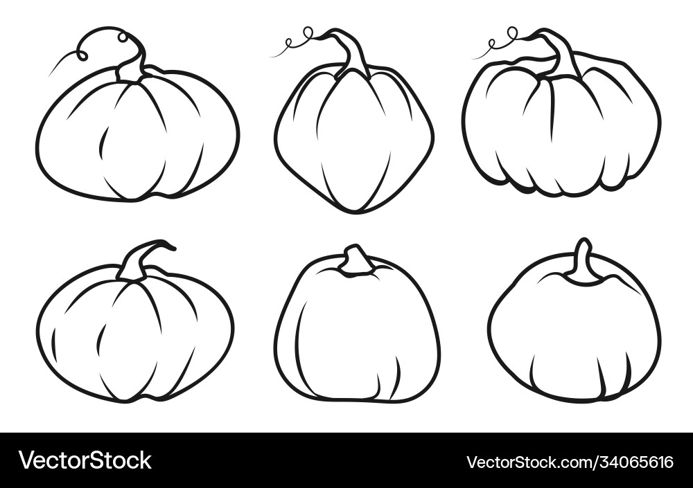 Autumn pumpkin doodle icon thanksgiving set Vector Image