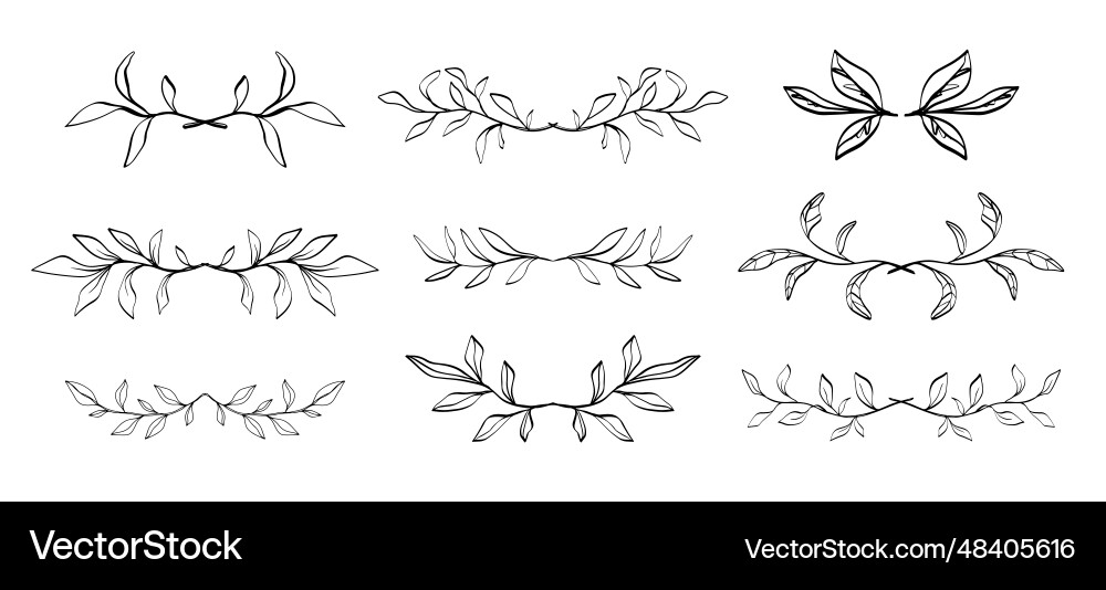 Floral dividers set hand drawn leaf borders decor Vector Image