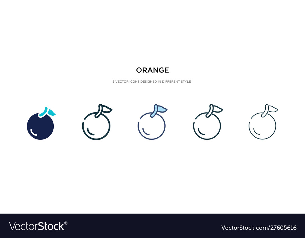 Orange icon in different style two colored Vector Image